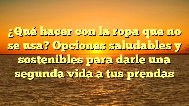 ¿Qué hacer con la ropa que no se usa? Opciones saludables y sostenibles ...